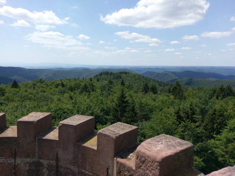 Grand Wintersberg Routes for Walking and Hiking | Komoot