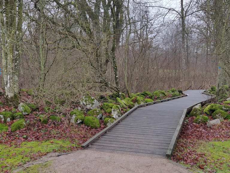 Fulltofta naturcentrum Routes for Walking and Hiking | Komoot