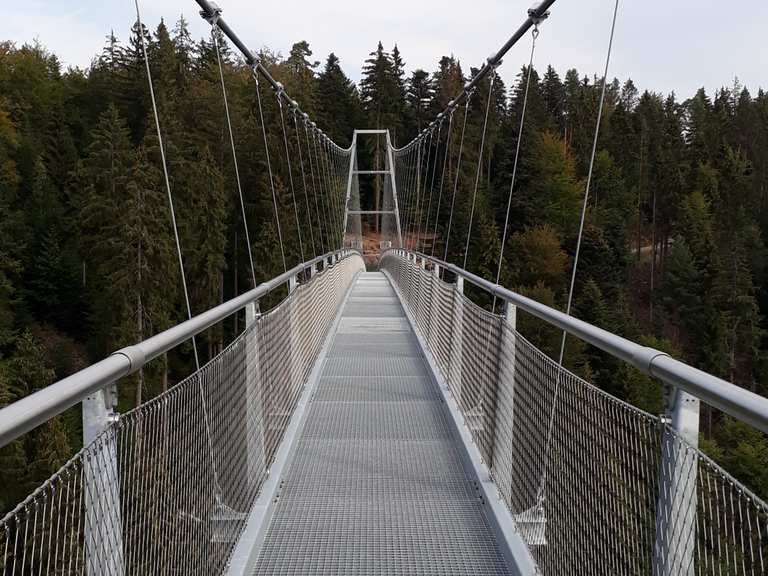 Hängebrücke Wildline - Bad Wildbad, Calw | Hiking Tips & Photos | Komoot