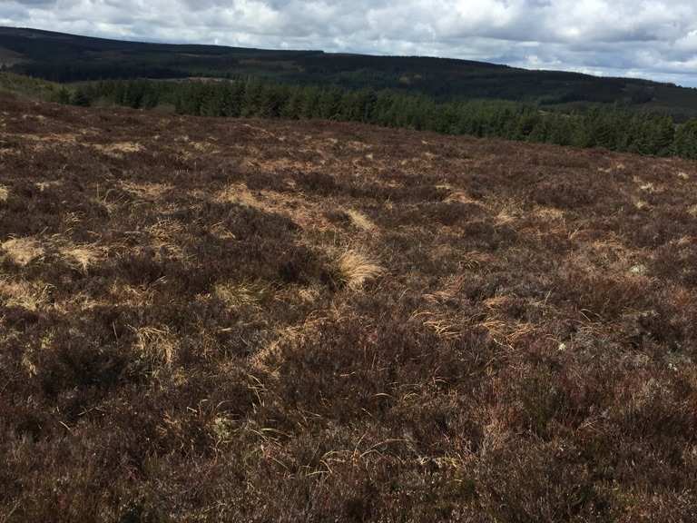 Views across Slieve Bloom Mountain Range Routes for Walking and Hiking ...