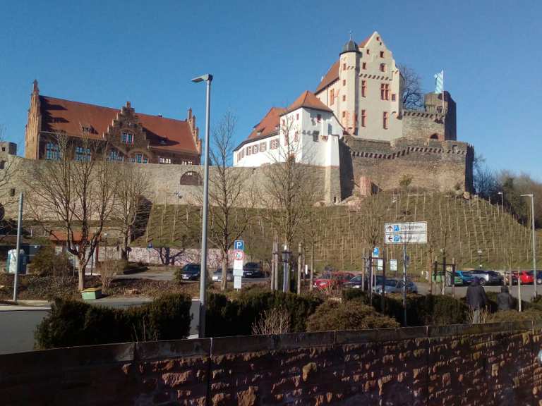 Burg Alzenau Routes for Walking and Hiking | Komoot