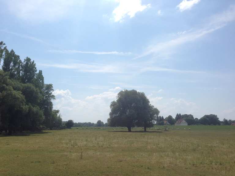 Tree-Lined Road Between Werben and Räbel – Cycling Routes & How to Get ...