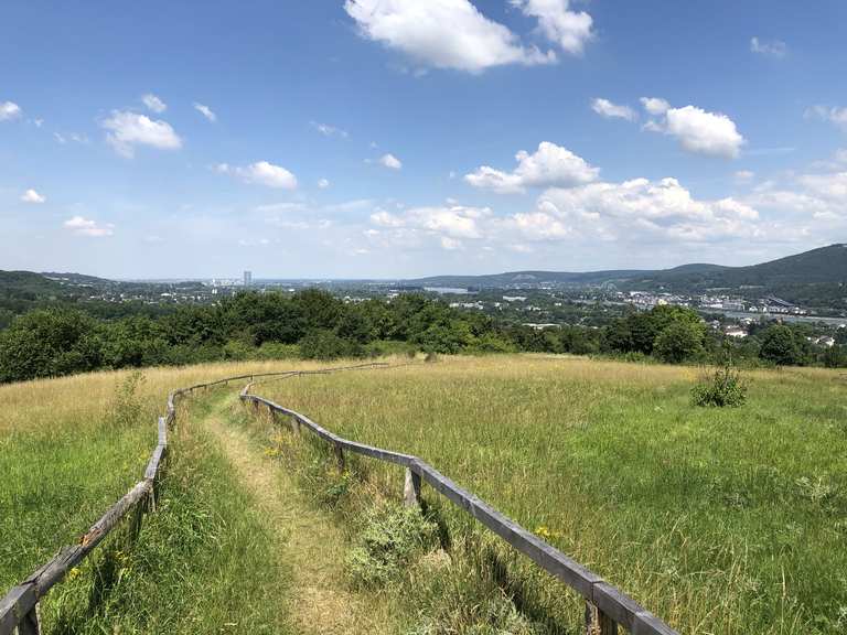 Naturschutzgebiet Rodderberg: Wanderungen und Rundwege | komoot