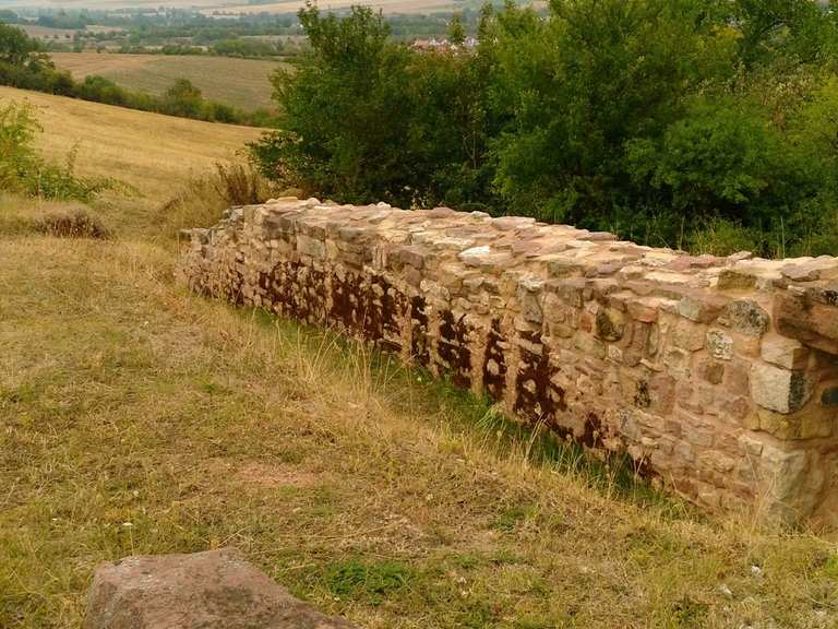 Burg Bolanden: Wanderungen und Rundwege | komoot