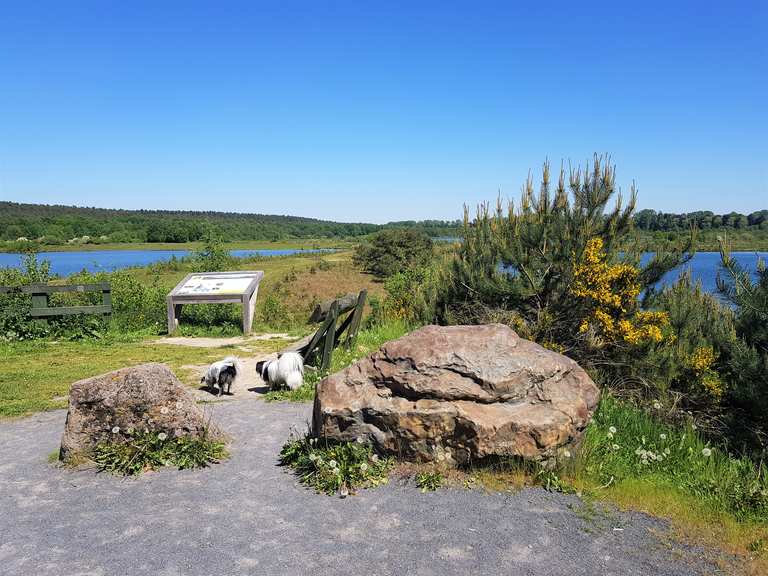 National Park Trail – Etappe 3: Terhills (Maasmechelen) - Duinengordel ...