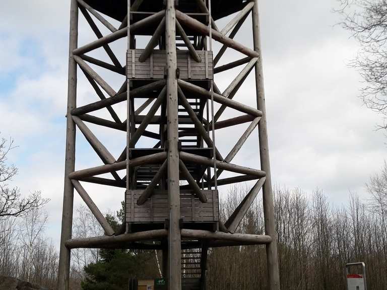 Winterstein - Mountain Bike Trails & Tracks | Komoot