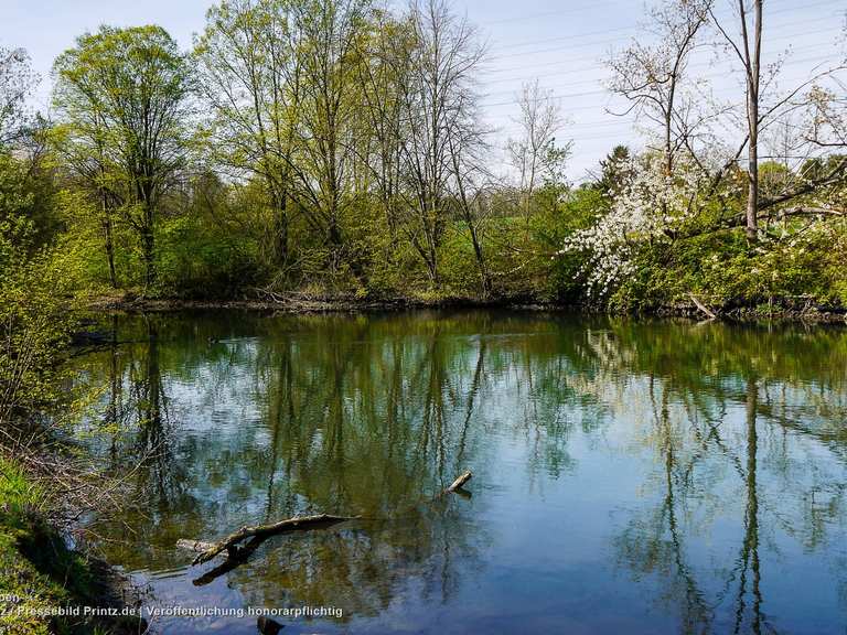 Harpener Teiche Blick Routes for Walking and Hiking | Komoot