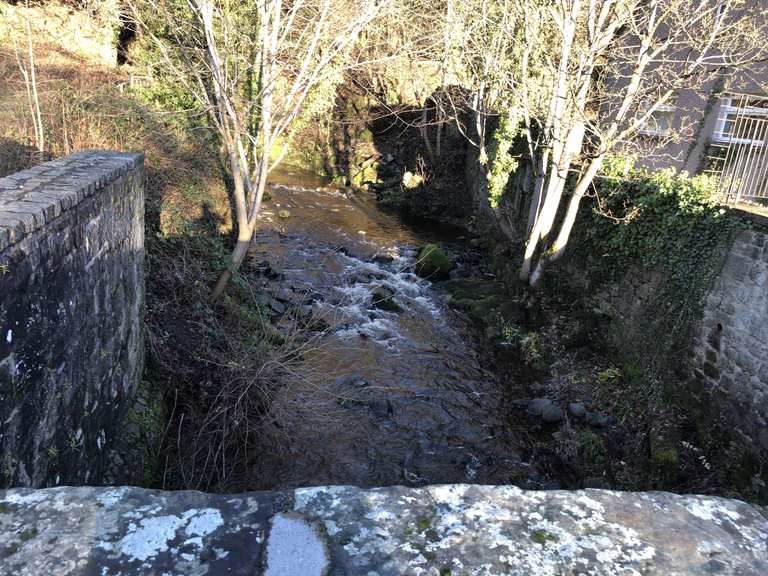 Menstrie Wood - Cycle Routes and Map | Komoot