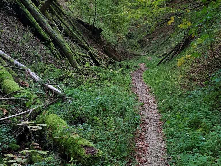 Lange Steige Routes for Walking and Hiking | Komoot