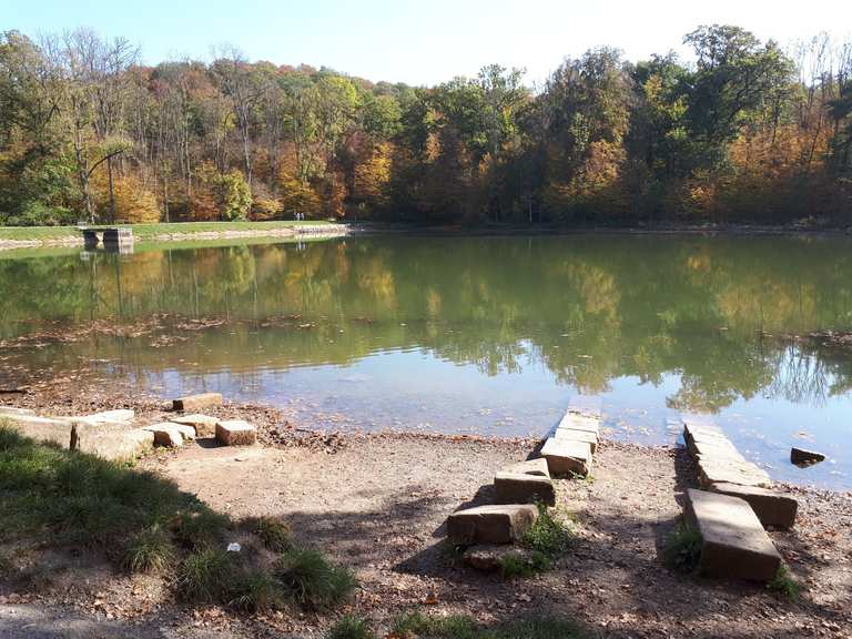 Katzenbachsee - Mountain Bike Trails & Tracks | Komoot