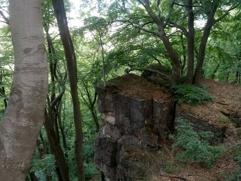 Kanstein am Thüster Berg: Wanderungen und Rundwege | komoot