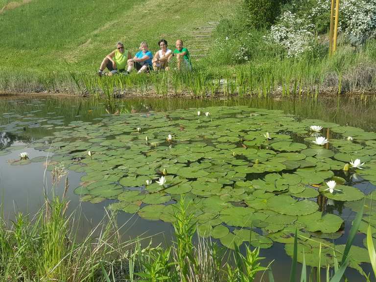 Heilbrunnen – Drumling Gasthaus Baier HEIDI Loop from Bad Tatzmannsdorf ...