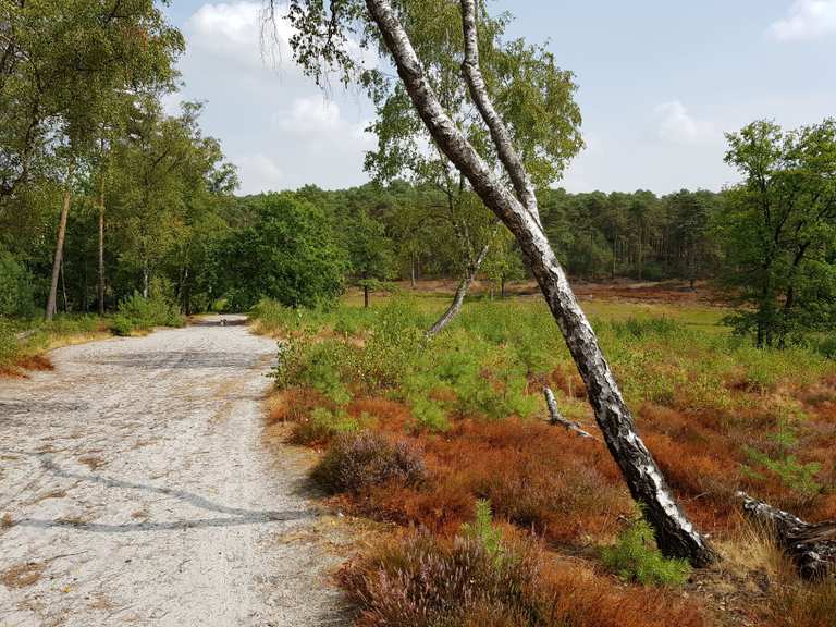 Brunssummerheide wandelroutes en hikes | Komoot