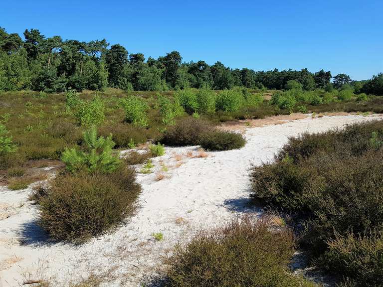 Maasduinen Reindersmeer Routes for Walking and Hiking | Komoot