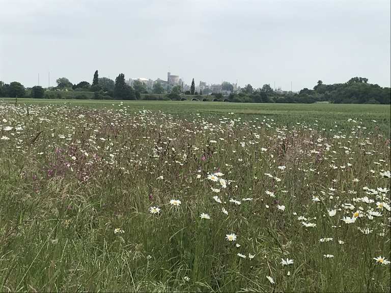 Dorney Common and fields - Cycle Routes and Map | Komoot