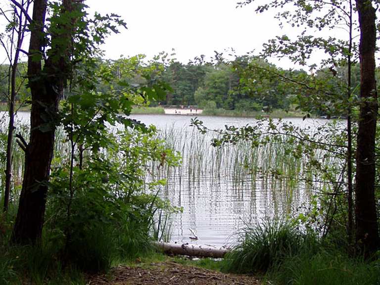 Frauensee: Wanderungen und Rundwege | komoot