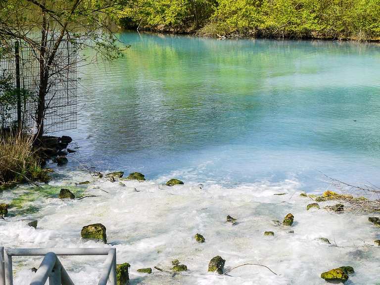 Harpener Teiche : Radtouren und Radwege | komoot