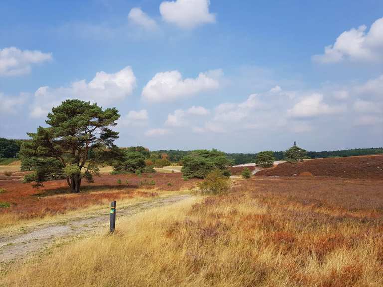 Brunssummerheide wandelroutes en hikes | Komoot
