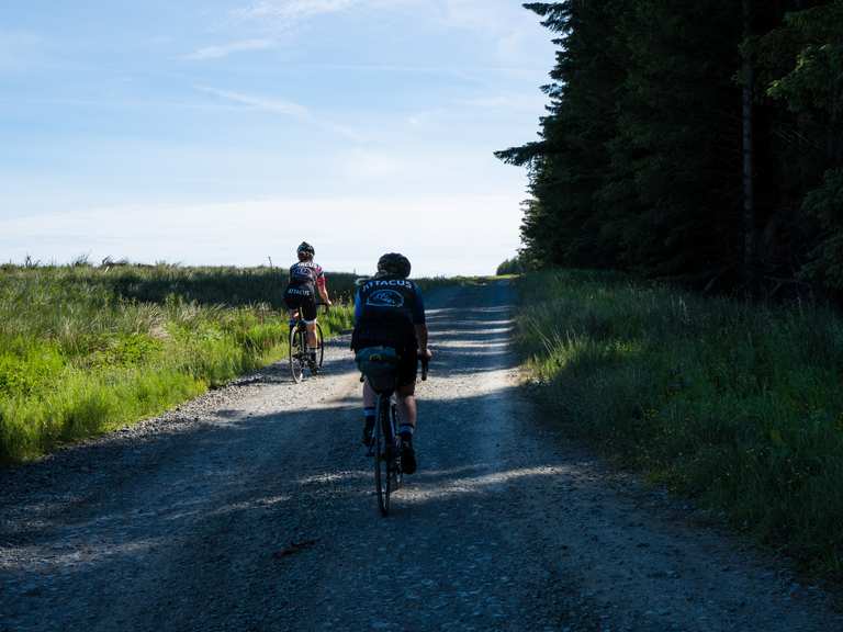 Kielder Forest - amazing gravel section Cycle Routes and Map | Komoot