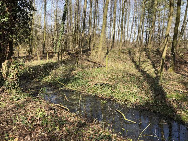 Senner Wildpferde : Radtouren und Radwege | komoot