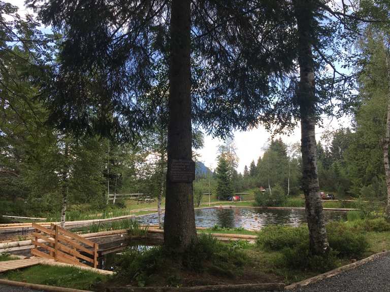 Oberjoch Isler Wannenjochbahn Schmugglerpfad Wiedhagalpe Moorhütte | Bergtour | Komoot