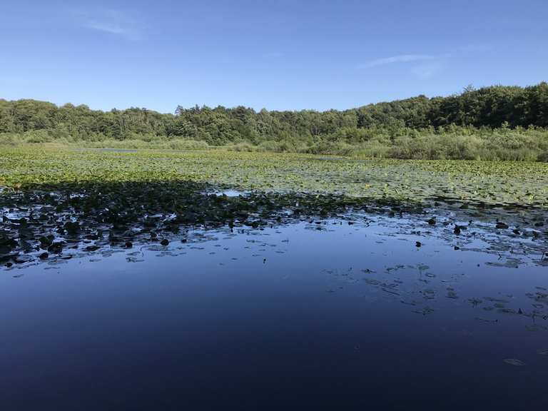 Roikier See Routes for Walking and Hiking | Komoot