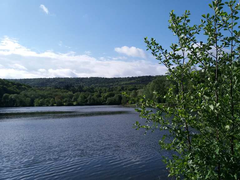 Katzenbachsee: Wanderungen und Rundwege | komoot