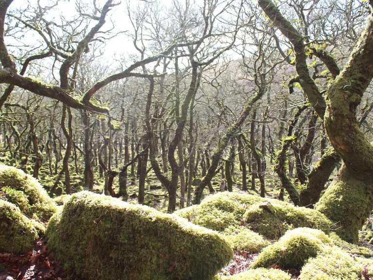 Piles Copse Routes for Walking and Hiking | Komoot