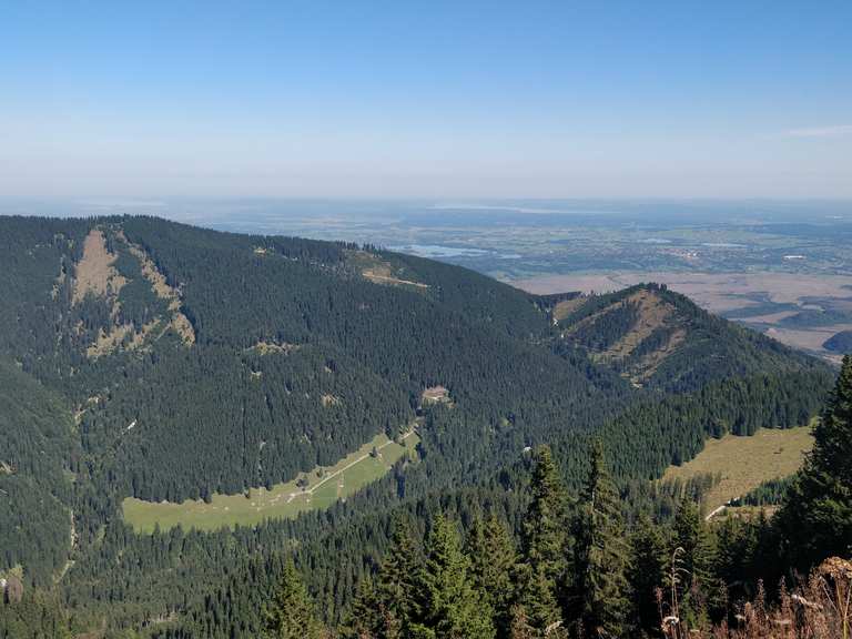 Laber Berg Routes for Walking and Hiking | Komoot