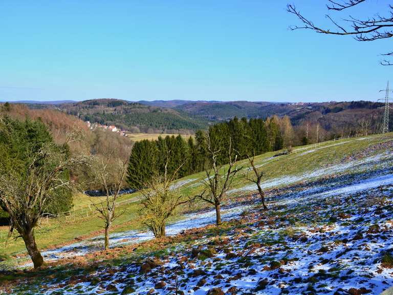Straußenfarm Hermersberg Routes for Walking and Hiking | Komoot