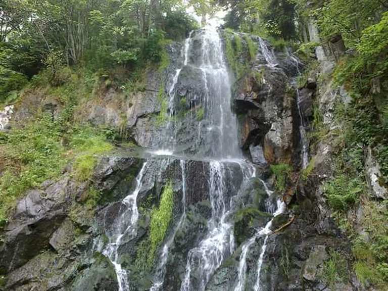 Cascade du Hohwald Routes for Walking and Hiking | Komoot