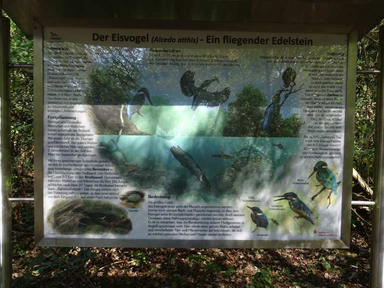 Aussichtsturm Ilkerbruch Routes for Walking and Hiking | Komoot