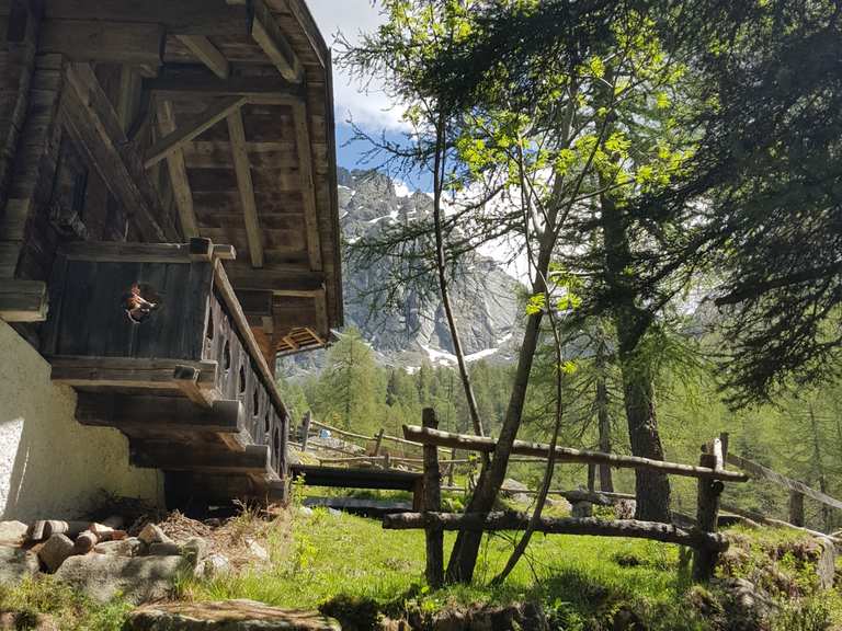 Ifinger Hütte - Ivigna Hütte: Wanderungen und Rundwege | komoot