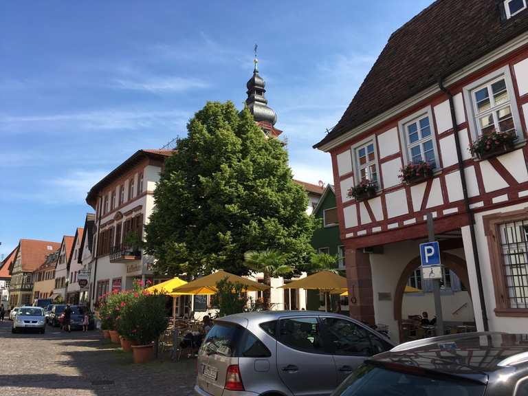 Kaffeehaus und Historisches Rathaus Schriesheim: Wanderungen und ...