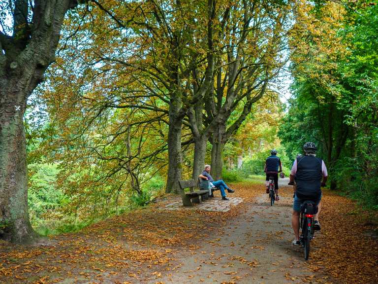Fietsallee am Nordkanal : Radtouren und Radwege | komoot