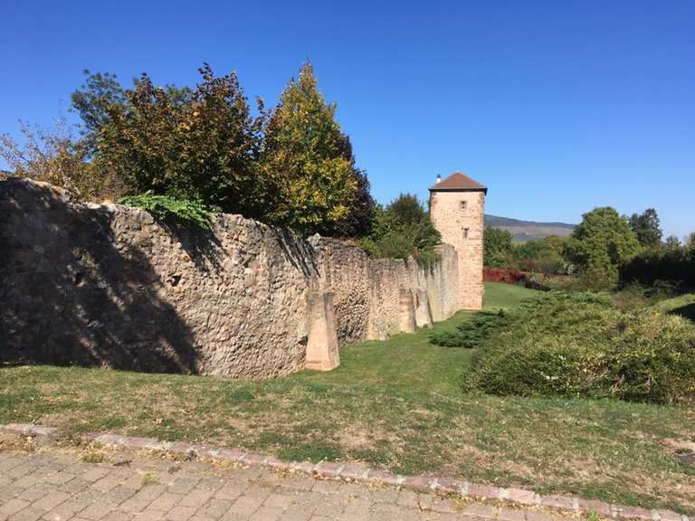 Bergheim Town Walls - Cycle Routes and Map | Komoot