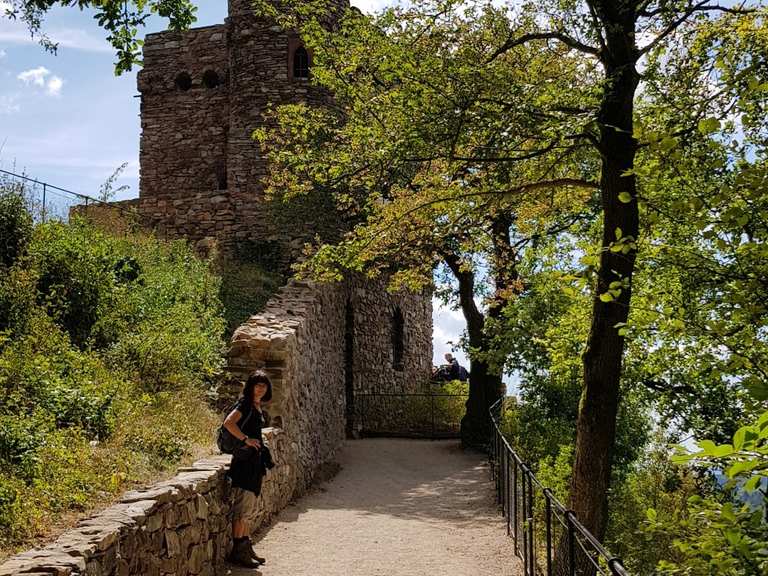 Burgruine Rossel: Wanderungen und Rundwege | komoot