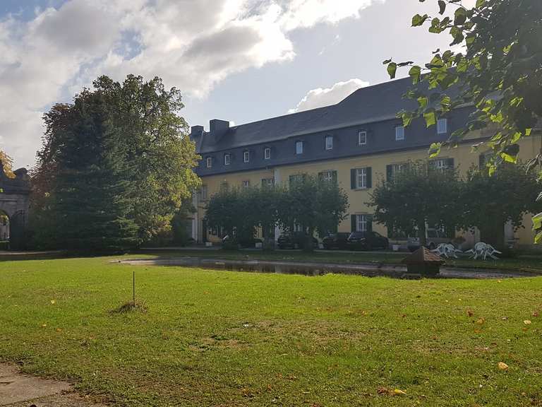 Schloss Marienthal - Mountain Bike Trails & Tracks | Komoot