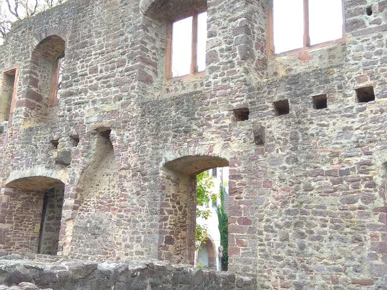 Burg Hayn Dreieichenhain: Mountainbike-Touren und -Trails | komoot