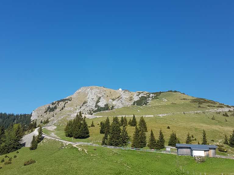 Schafbergalm – Station der Bergbahn Routes for Walking and Hiking | Komoot