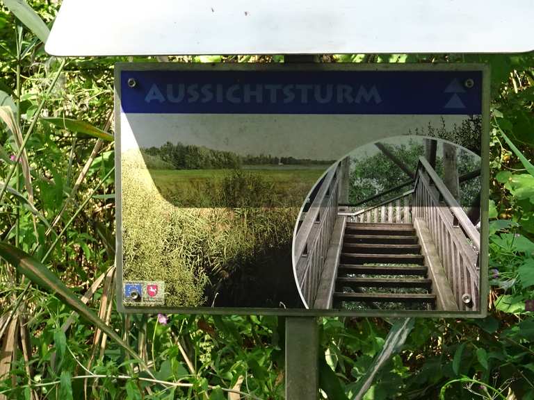 Aussichtsturm Ilkerbruch Routes for Walking and Hiking | Komoot