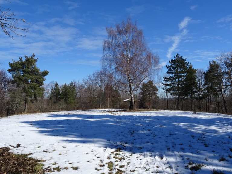 Runder Berg Routes for Walking and Hiking | Komoot