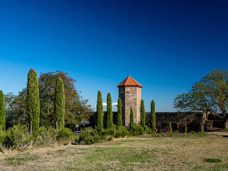 Burg Battenberg Routes for Walking and Hiking | Komoot