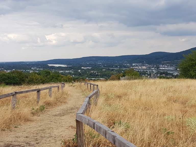 Naturschutzgebiet Rodderberg: Wanderungen und Rundwege | komoot