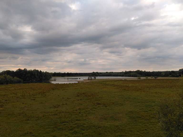 Aussichtsturm Ilkerbruch Routes for Walking and Hiking | Komoot