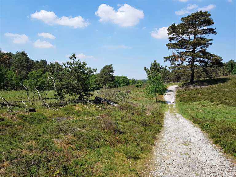 Brunssummerheide wandelroutes en hikes | Komoot