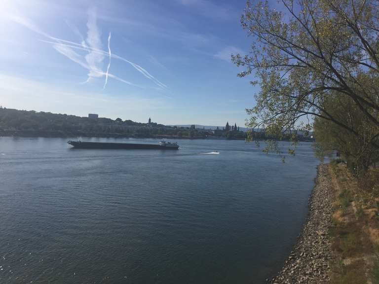 Neues Rheinufer mit Blick auf Mainz: Radtouren und Radwege | komoot