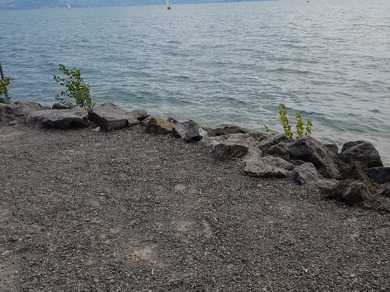 Argenmündung und Einfahrt zum Yachthafen Meichle & Mohr: Mountainbike ...