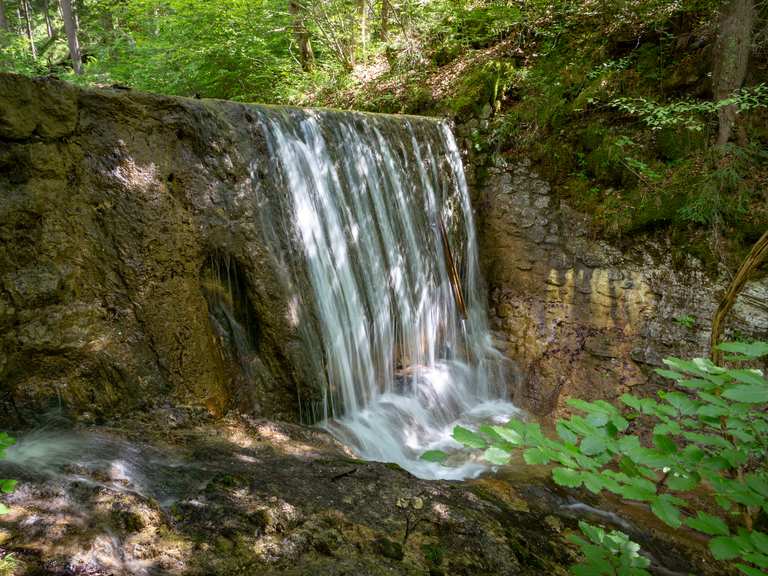 Grüne Gumpe: Wanderungen und Rundwege | komoot