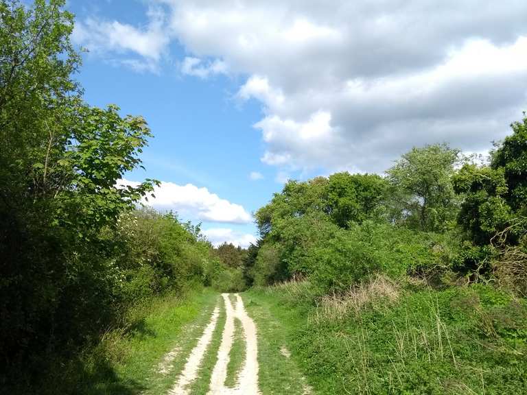 The Icknield Way - Routes for Walking and Hiking | Komoot